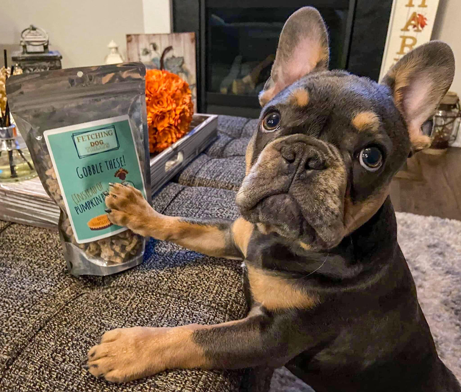 FetchingApparelGoGetIt